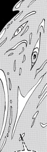 011) Amorphous Anatomy – Hugh Fox Superpowers List