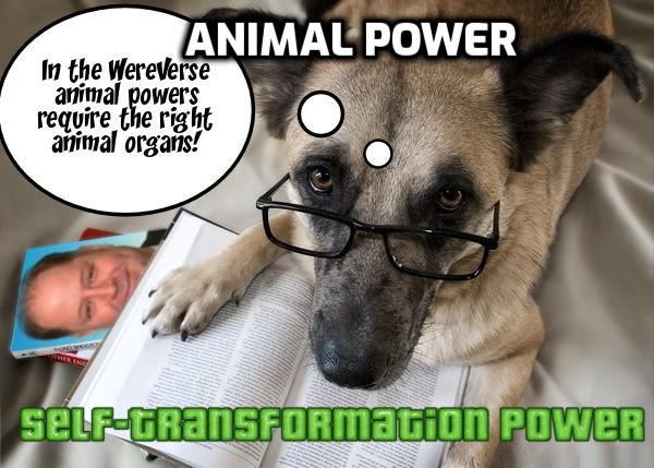 022) Animal Powers – Foxhugh Superpowers List