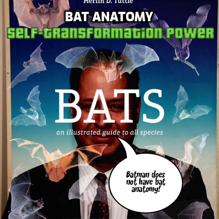 062) Bat Anatomy – Hugh Fox Superpowers List