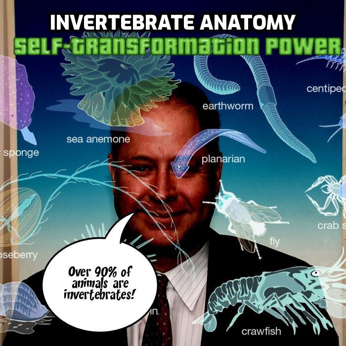 238) Invertebrate Anatomy – Hugh Fox Superpowers List