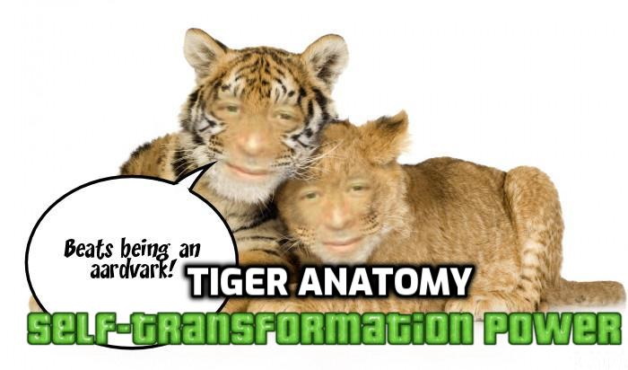 449) Tiger Anatomy – Hugh Fox Superpowers List